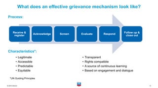Chevron: Voluntary Principles and the Offshore | PDF