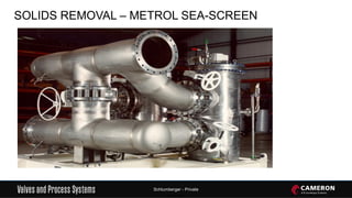 VPS Seawater Intro.pdf