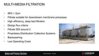 VPS Seawater Intro.pdf