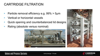 VPS Seawater Intro.pdf