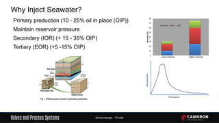 VPS Seawater Intro.pdf