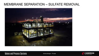 VPS Seawater Intro.pdf