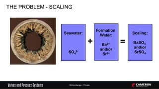 VPS Seawater Intro.pdf