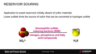 VPS Seawater Intro.pdf