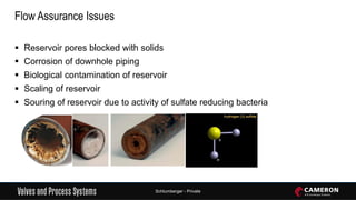 VPS Seawater Intro.pdf