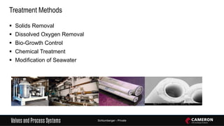 VPS Seawater Intro.pdf