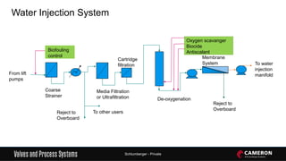 VPS Seawater Intro.pdf