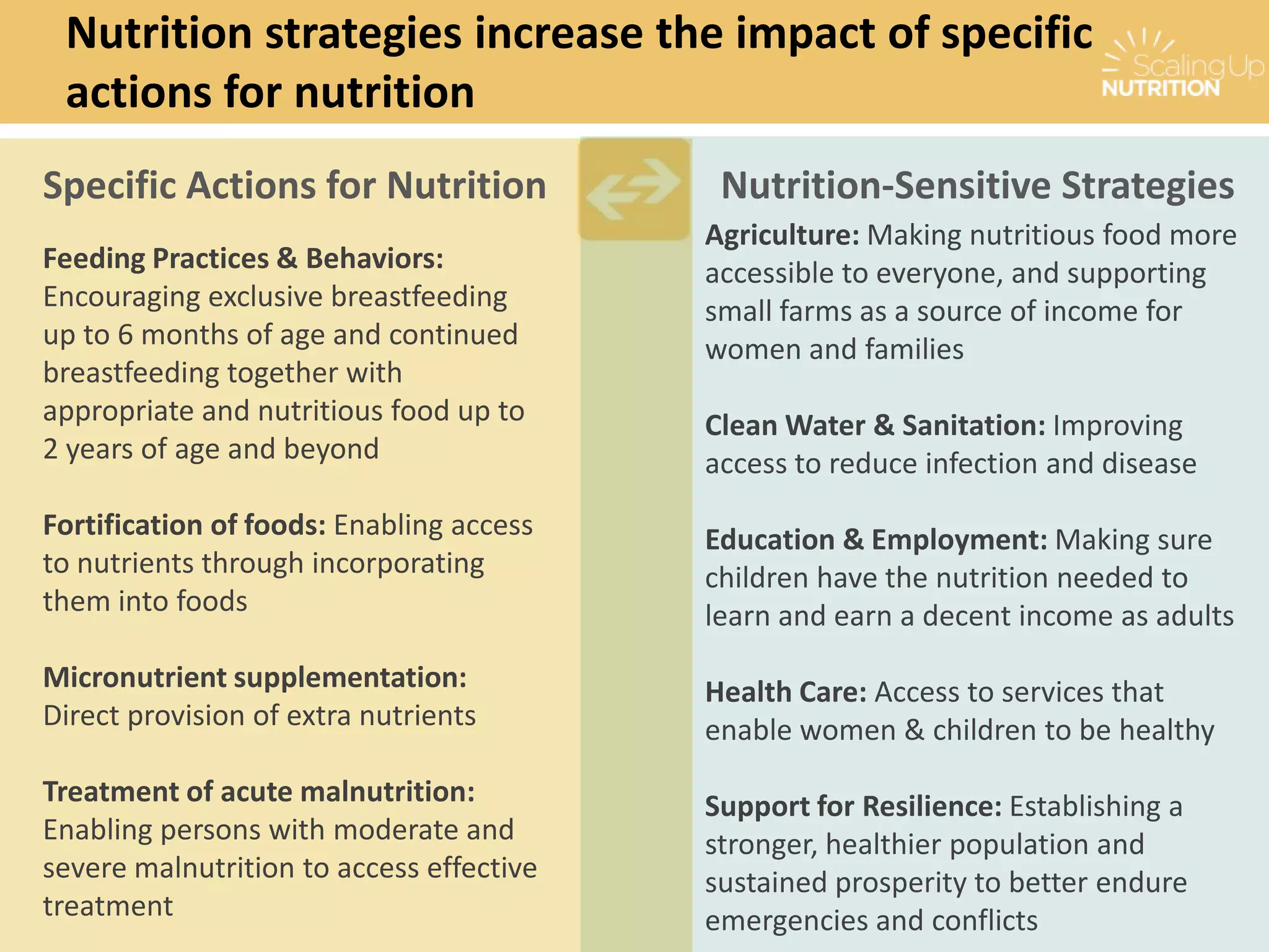 Understanding the Essential Nutrition Actions Framework_Victoria Quinn ...
