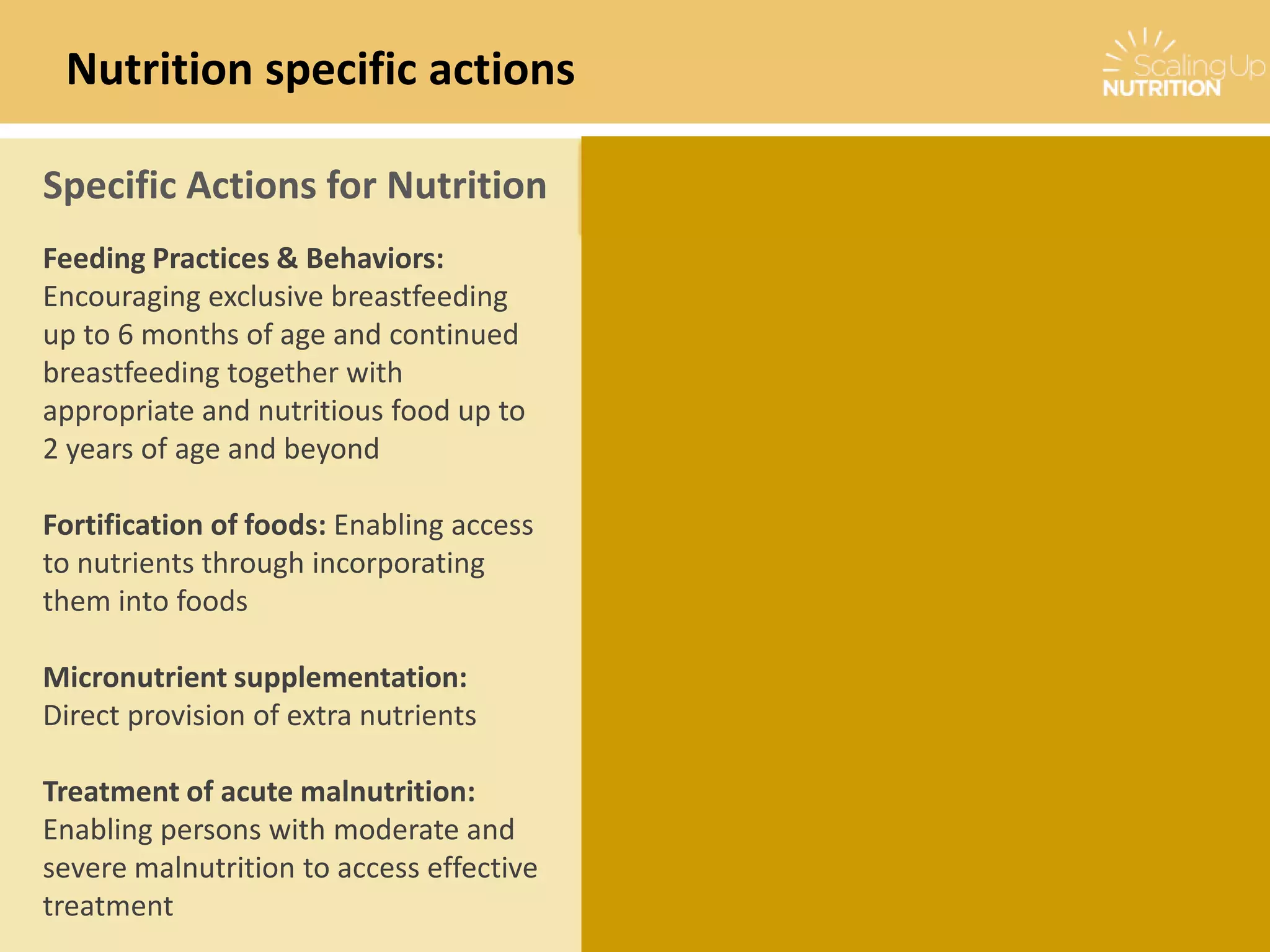 Understanding the Essential Nutrition Actions Framework_Victoria Quinn ...