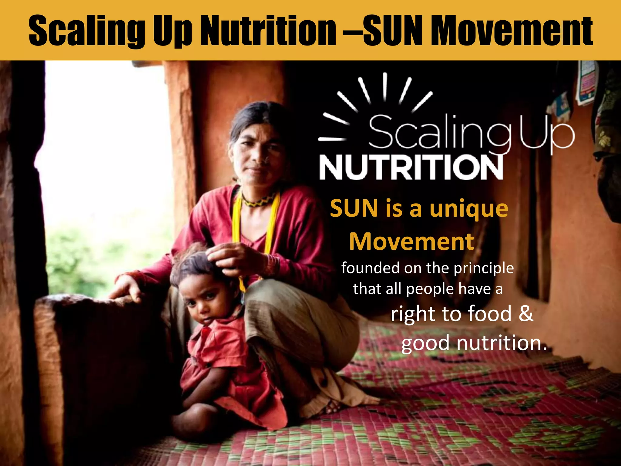 Understanding the Essential Nutrition Actions Framework_Victoria Quinn ...