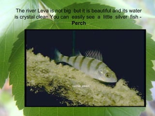 Vrachanski balkan nature park biologocal portfolio | PPT