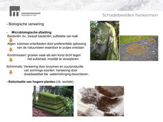 Elementen in natuursteen onderhouden | PPT