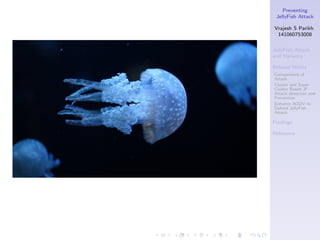 Preventing JellyFish Attack | PDF