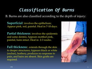 A comparative study of clinico-biochemical responses during topical ...