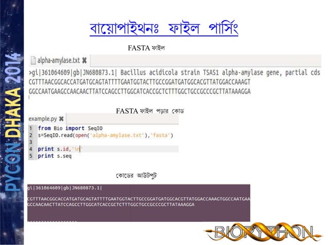 Python and bioinformatics | PPTX