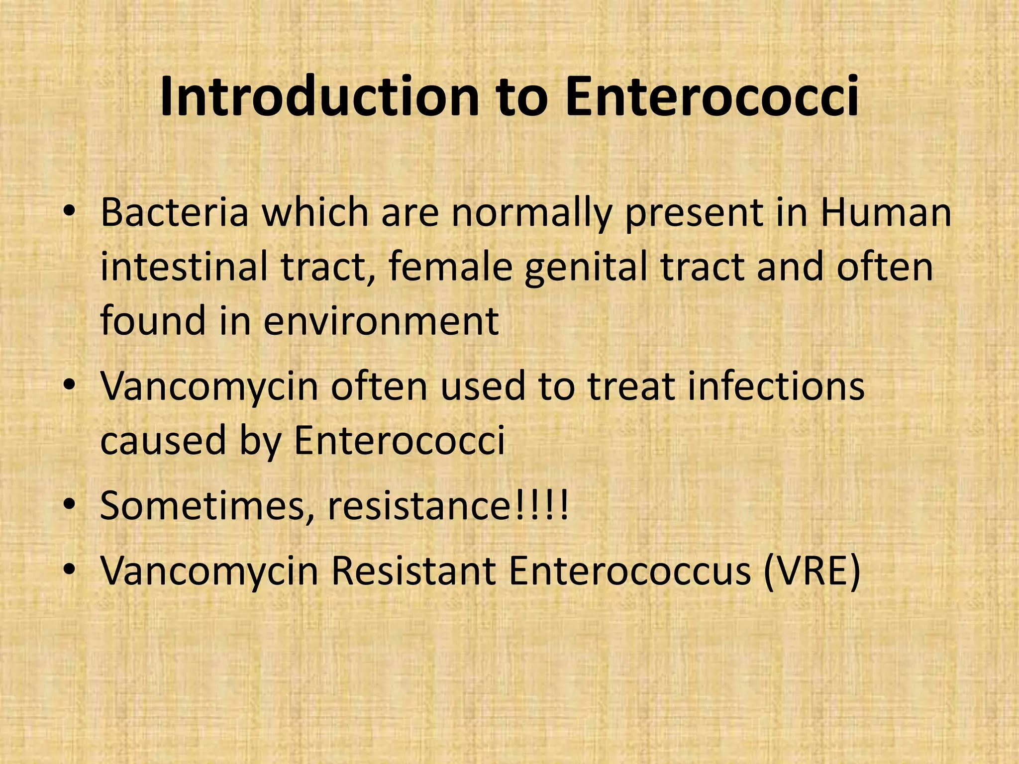 Vancomycin Resistant Enterococci | PPTX