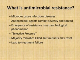 Vancomycin Resistant Enterococci | PPTX