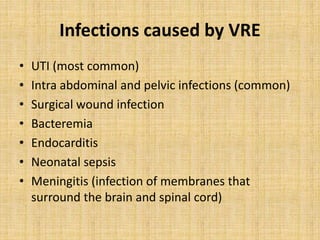 Vre Infection
