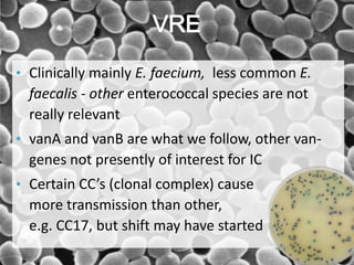 VRE 7th GCC | PPTX | Infectious Diseases | Diseases and Conditions