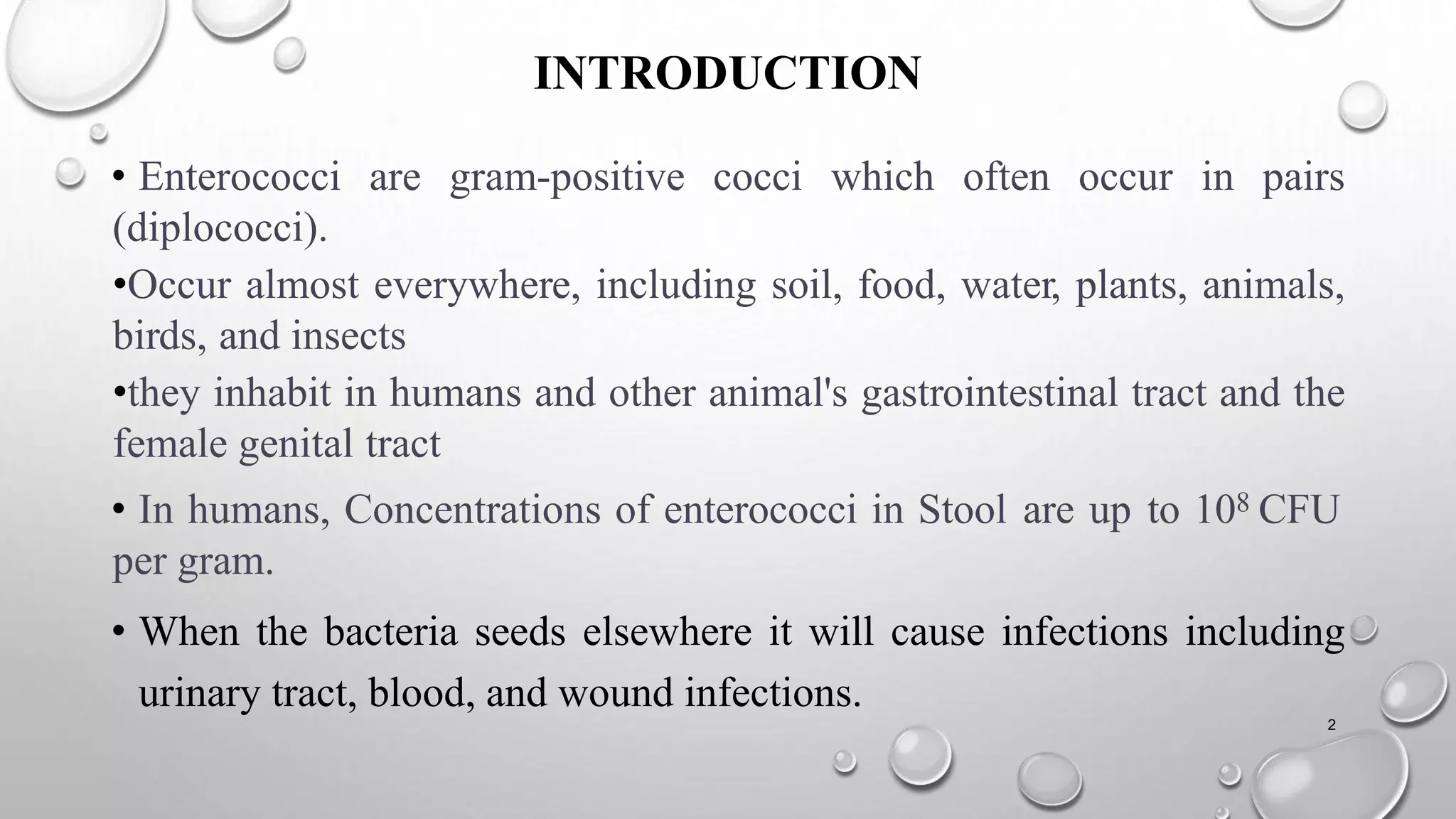 Vancomycin-Resistant Enterococci | PPTX