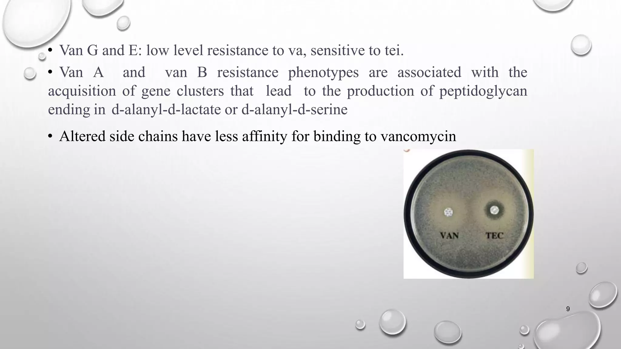 Vancomycin-Resistant Enterococci | PPTX