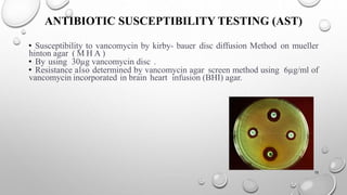 Vancomycin-Resistant Enterococci | PPTX