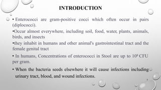 Vancomycin-Resistant Enterococci | PPTX