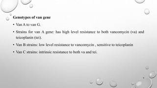 Vancomycin-Resistant Enterococci | PPTX