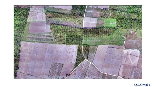 Farm Mapping : Reliability, Traceability & Authenticity - Geo Spatial ...