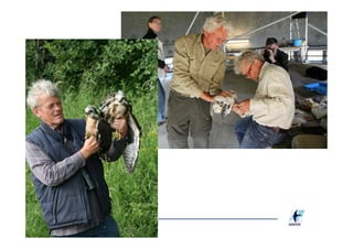 Vrijwilliger van het jaar - Landelijke Dag SOVON 2011 | PDF