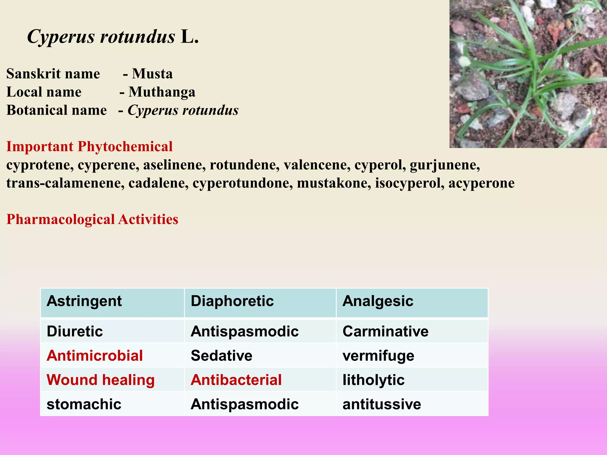 Vrikshayurveda | PPTX