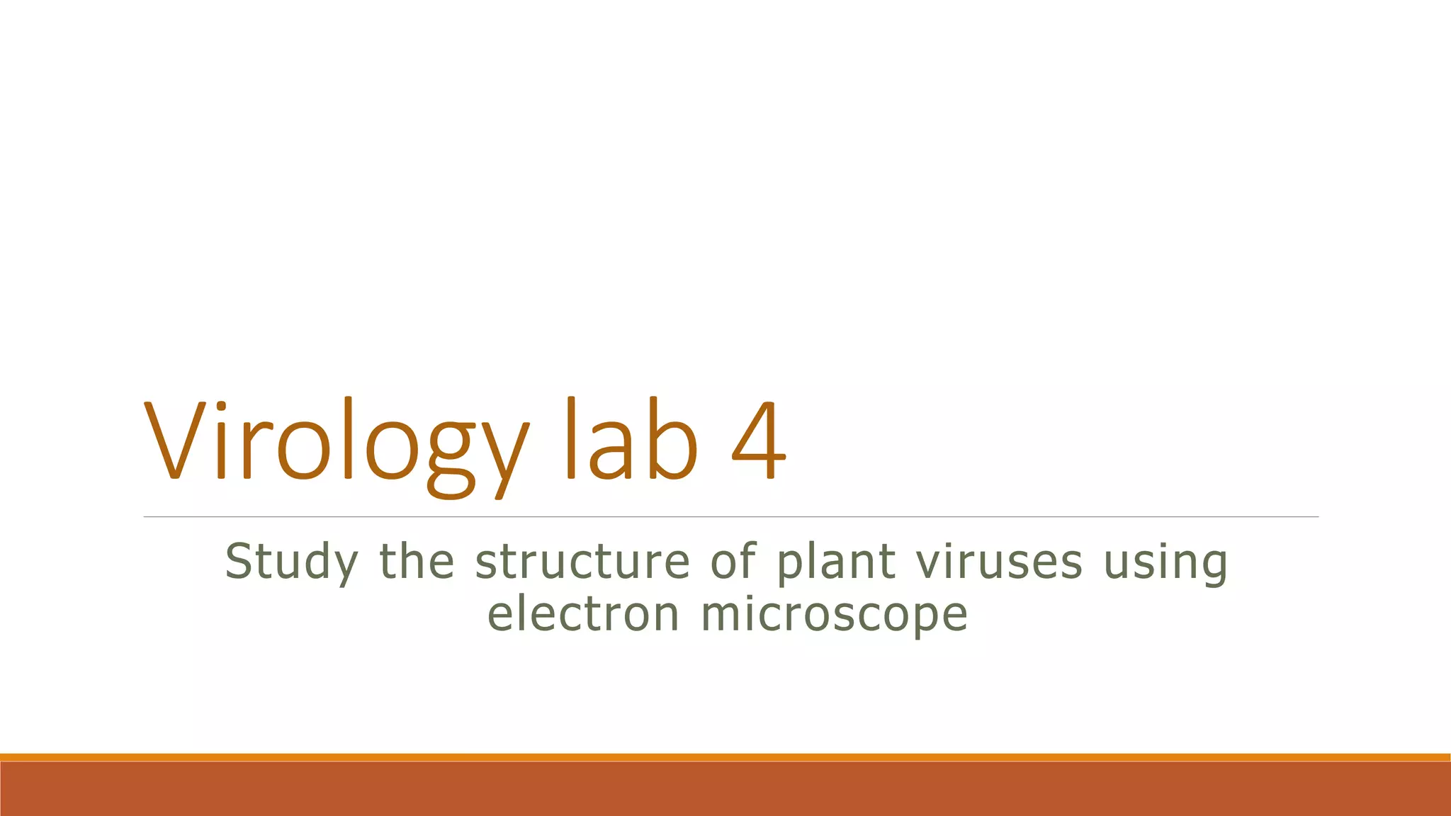 Structure of Plant Viruses | PPTX