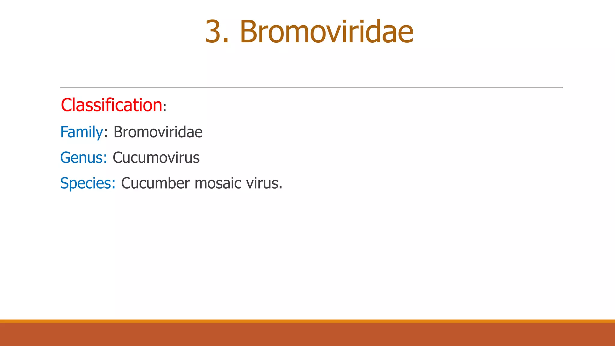 Structure of Plant Viruses | PPTX