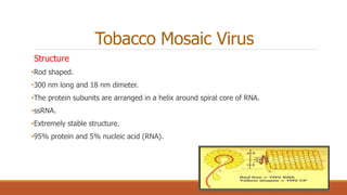 Structure of Plant Viruses | PPTX