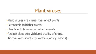 Structure of Plant Viruses | PPTX