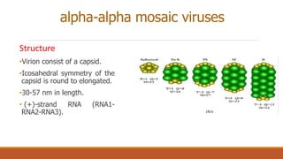 Structure of Plant Viruses | PPTX