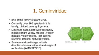 Structure of Plant Viruses | PPTX