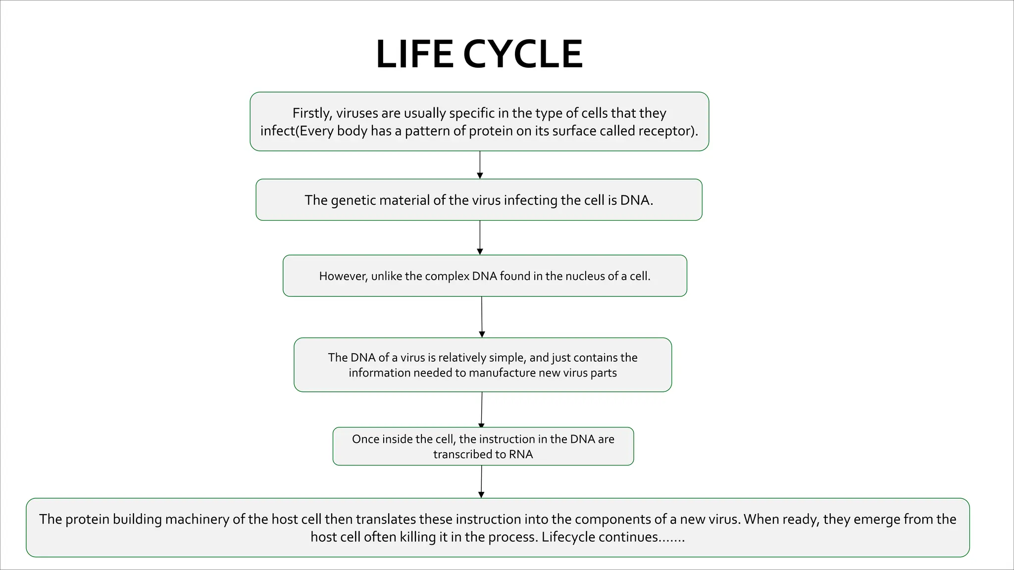 Properties of virus(Ultrastructure and types of virus) | PDF