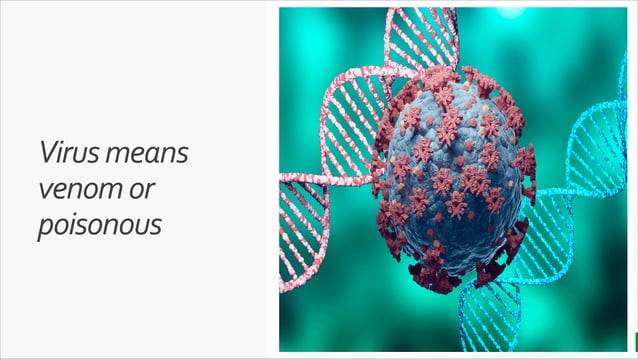 Properties of virus(Ultrastructure and types of virus) | PDF