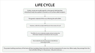 Properties of virus(Ultrastructure and types of virus) | PDF