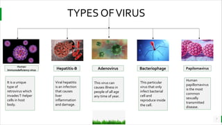 Properties of virus(Ultrastructure and types of virus) | PDF