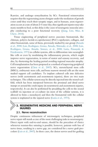Peripheral neuropathyumbilicalcord | PDF