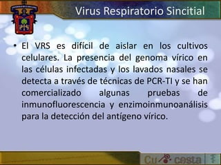 Virus Respiratorio Sincitial | PPTX