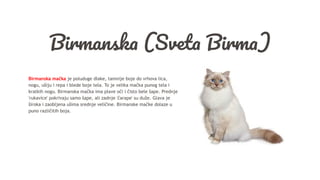 Vrste mačaka u najzivijem svetu sa sveta.pdf