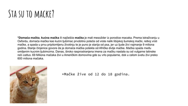 Vrste mačaka u najzivijem svetu sa sveta.pdf