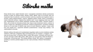 Vrste mačaka u najzivijem svetu sa sveta.pdf