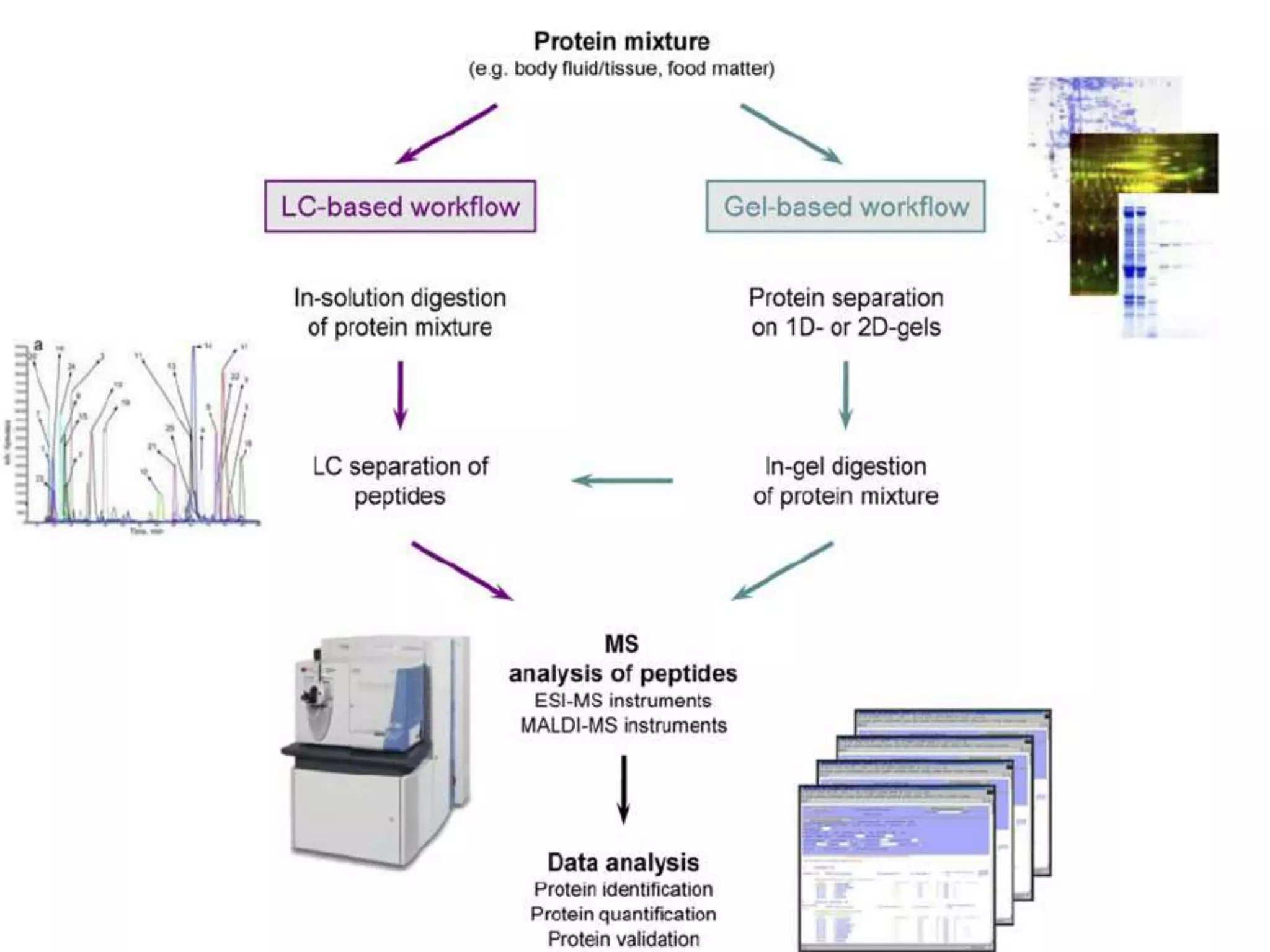proteomics | PPTX
