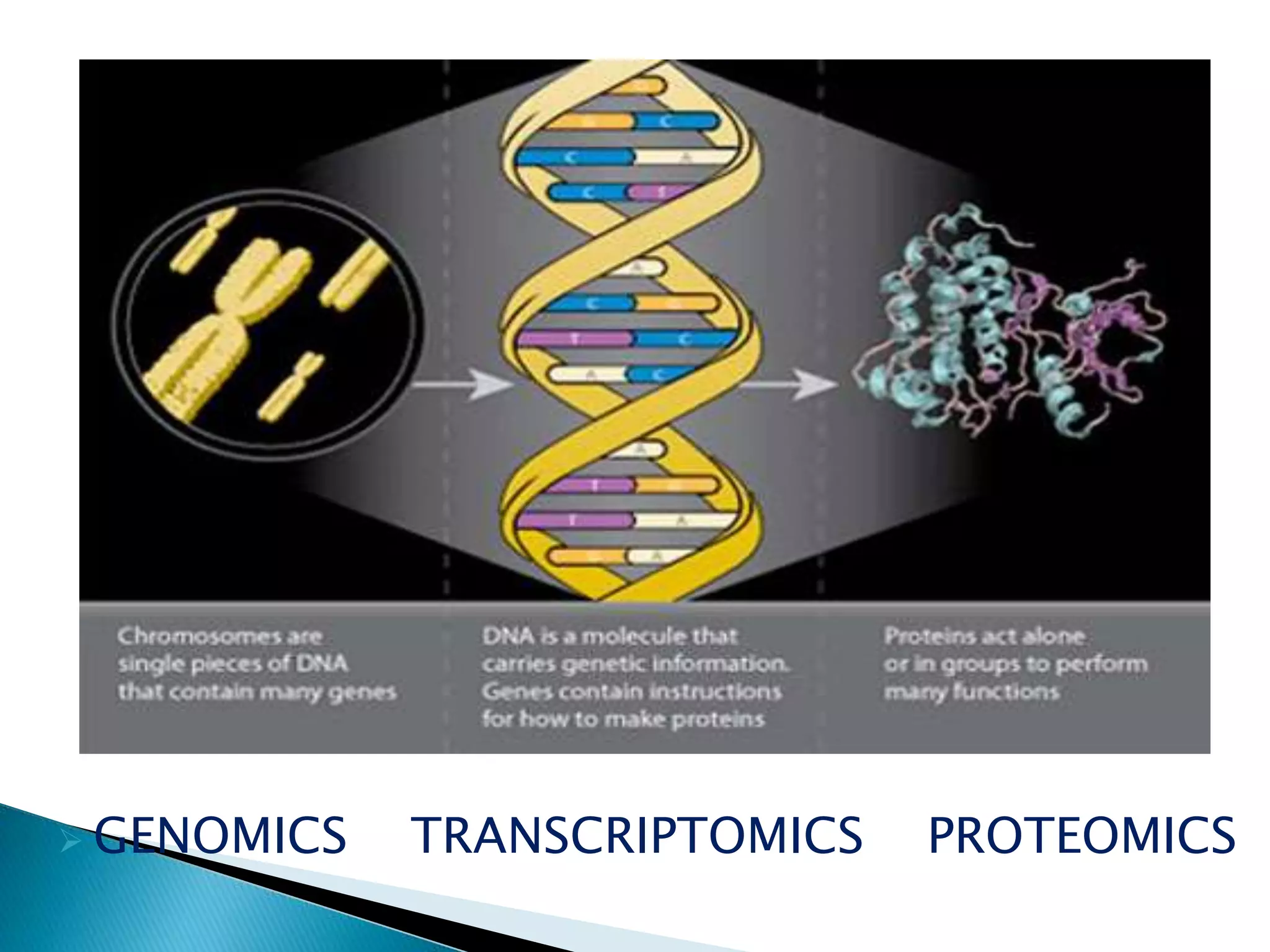 proteomics | PPTX