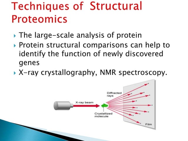 proteomics | PPTX | Chemistry | Science