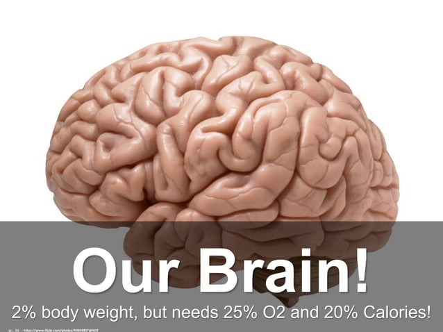 Lecture 3 - The Creative Process | PDF